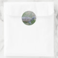 diamondback terrapin turtle stickers | Zazzle