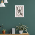 Diatoms Vintage Illustration Poster | Zazzle