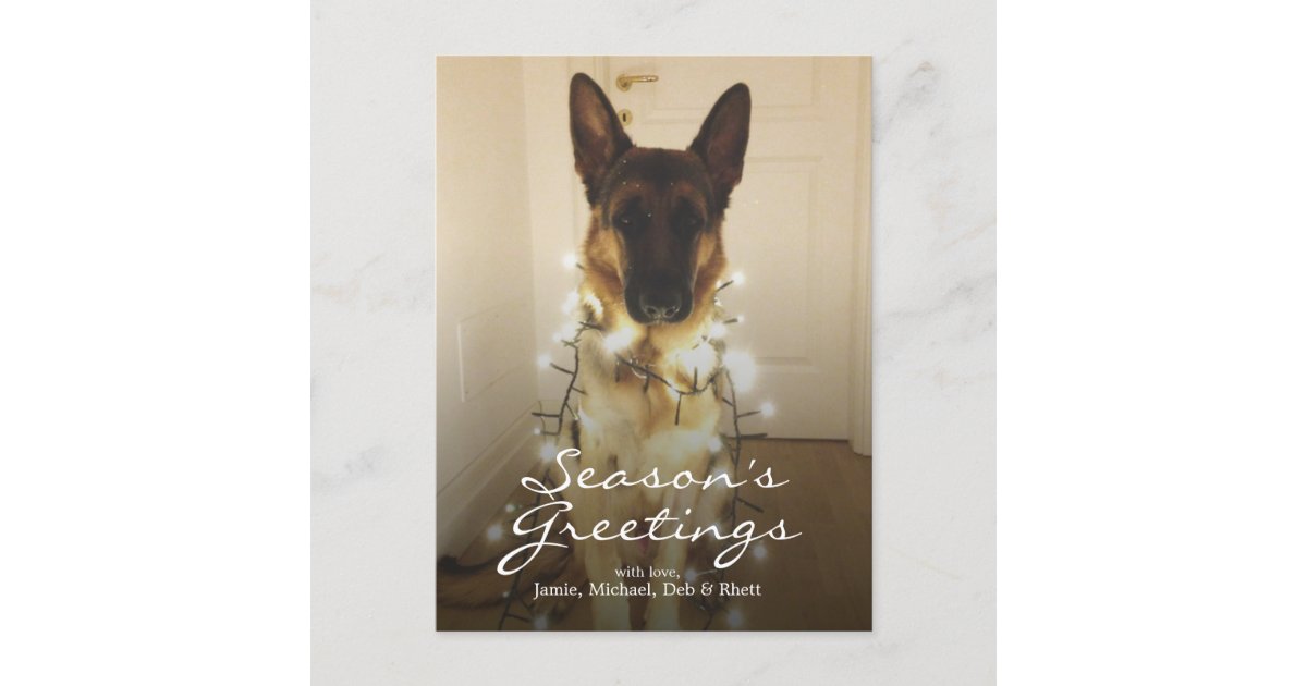 Did you say Santa Paws? Holiday Postcard | Zazzle