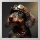 Dieselpunk Wirehaired Dachshund Steampunk Goggles Poster | Zazzle