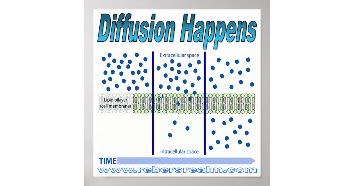 Diffusion Happens Poster | Zazzle.com
