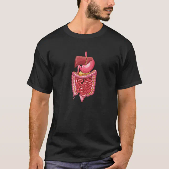 Digestive System Anatomy Anatomical Biology Teache T-Shirt | Zazzle