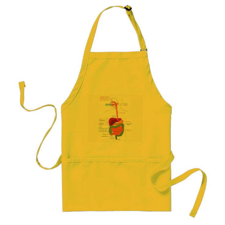 Digestive System Diagram Human Anatomy Adult Apron | Zazzle