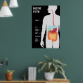 Digestive System Poster | Zazzle