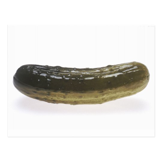 Dill Pickle Postcard | Zazzle.com