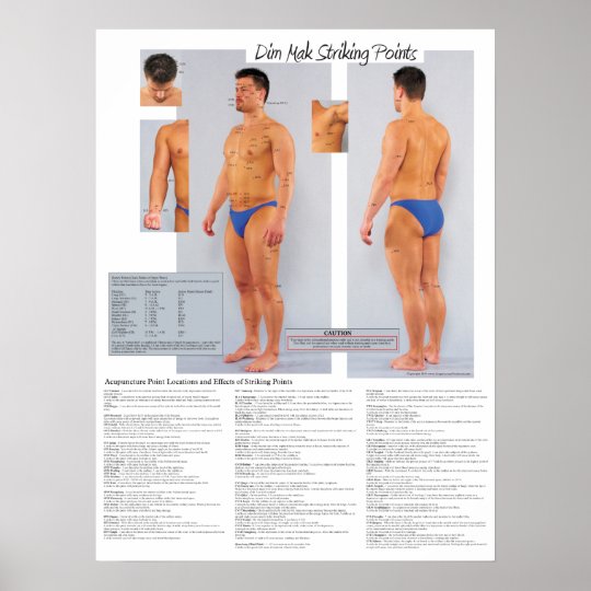 Dim Mak Death Striking Points Poster 18 X 24 | Zazzle.com