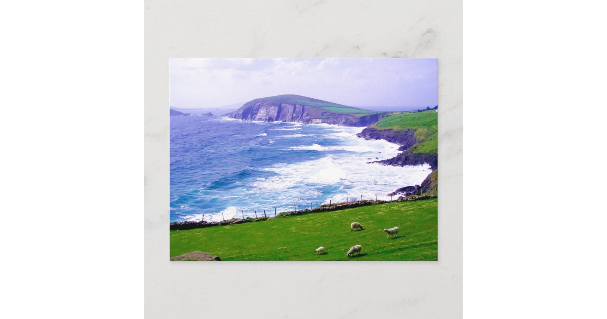Dingle Ireland Postcard | Zazzle