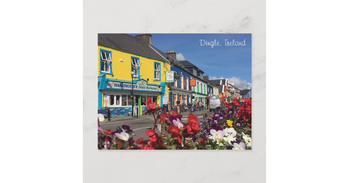 Dingle, Ireland Postcard | Zazzle