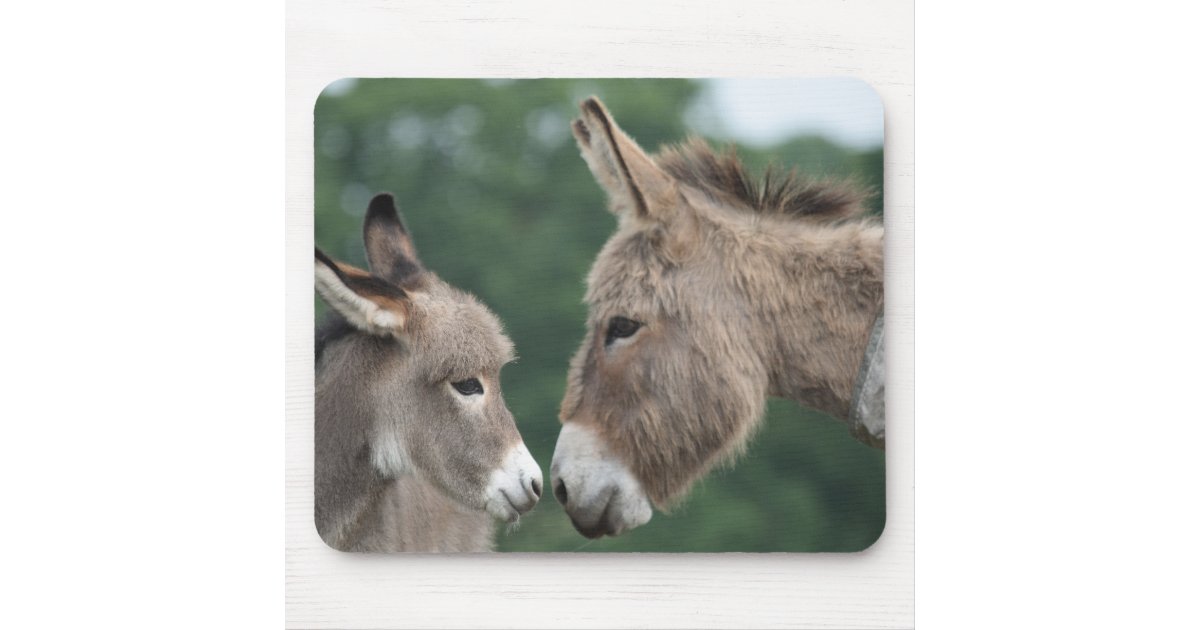 Dinky donkey mouse pad | Zazzle