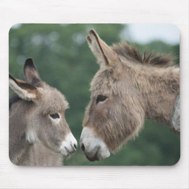 Dinky donkey mouse pad | Zazzle