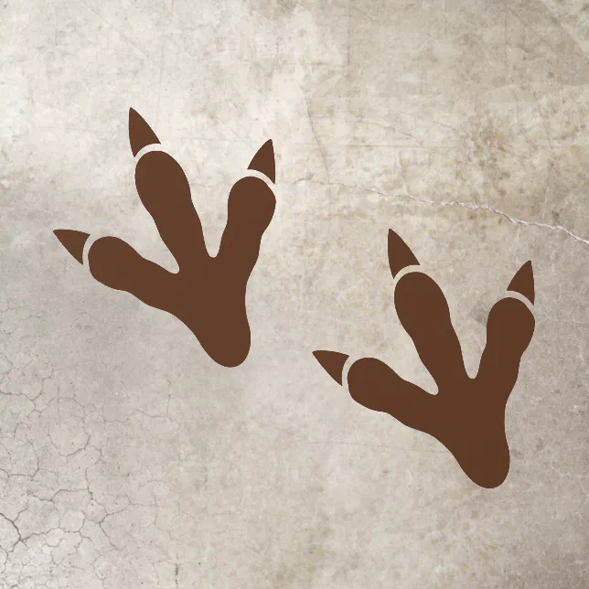 Dino Dig Birthday Dinosaur Tracks Floor Decals | Zazzle