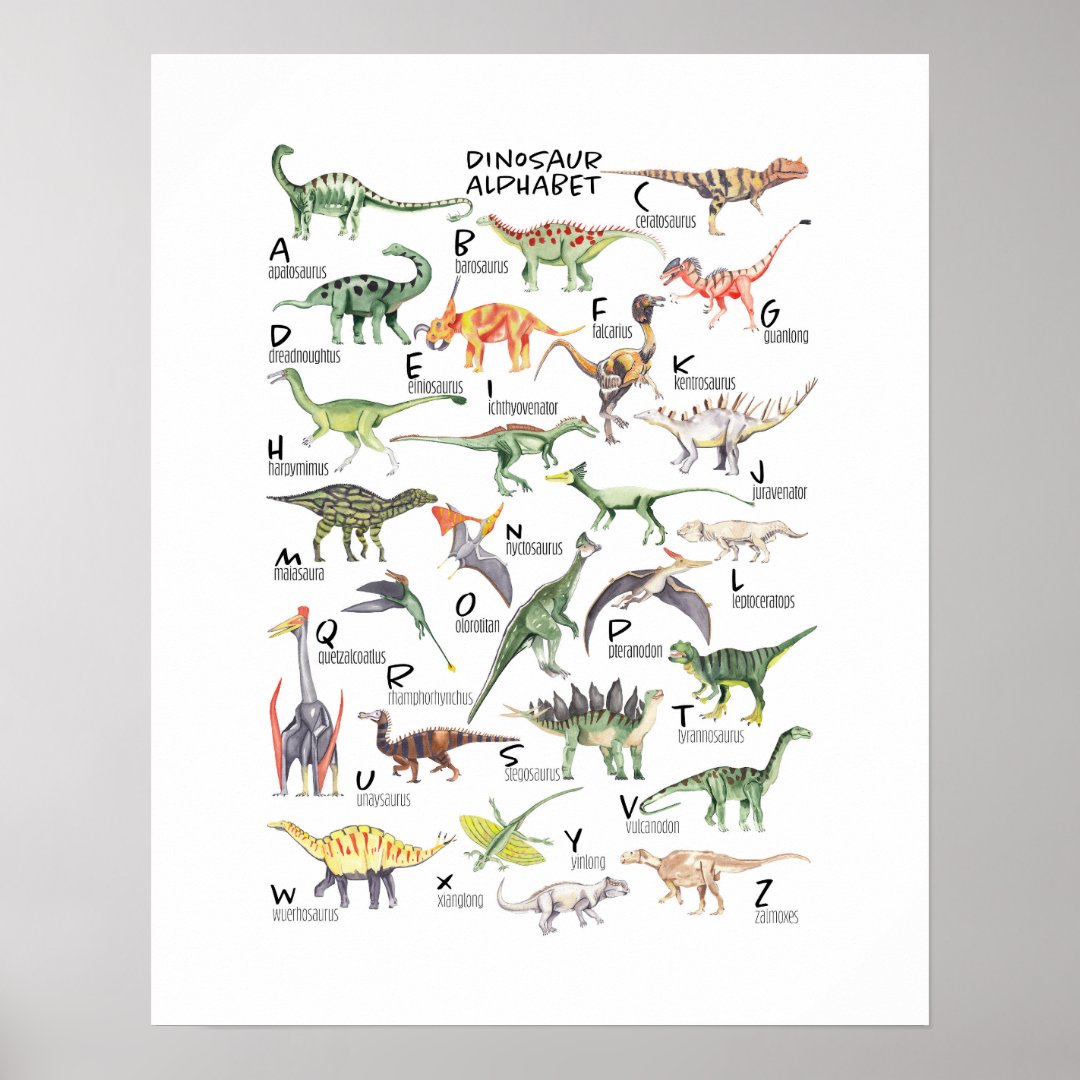 Dinosaur Alphabet Poster | Zazzle