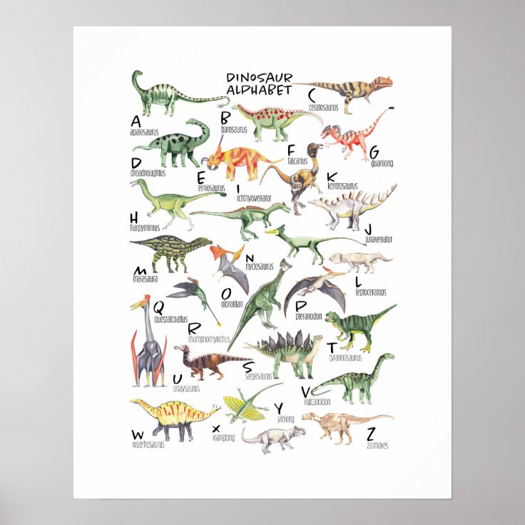 Dinosaur Alphabet Poster | Zazzle