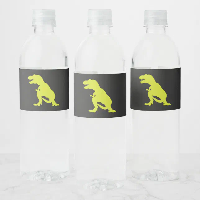 Dinosaur Birthday Modern T Rex Water Bottle Label | Zazzle