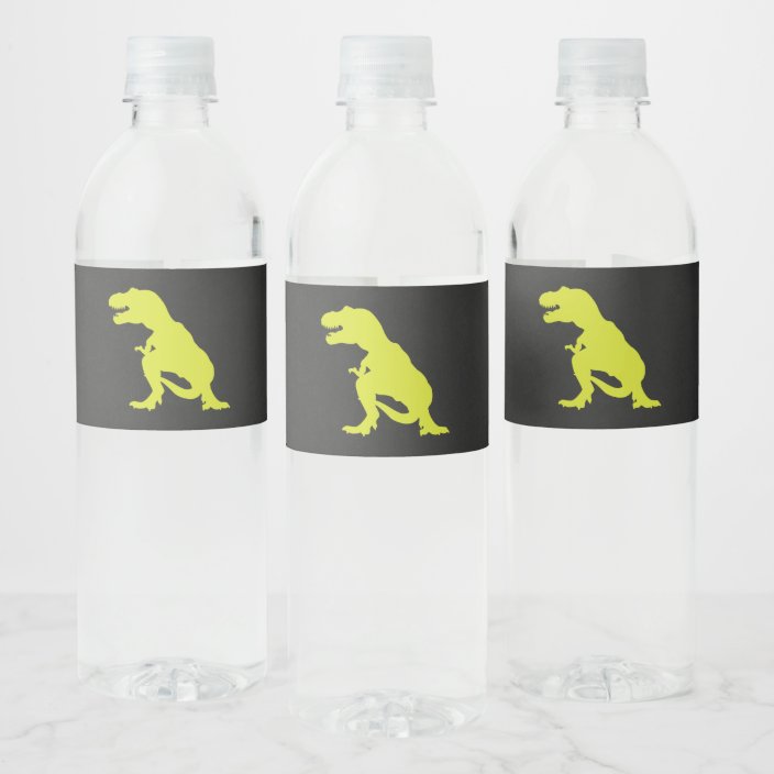 Dinosaur Birthday Modern T Rex Water Bottle Label | Zazzle.com