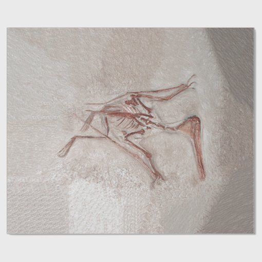 Dinosaur Bones Old Prehistoric Sketch Art Wrapping Paper | Zazzle