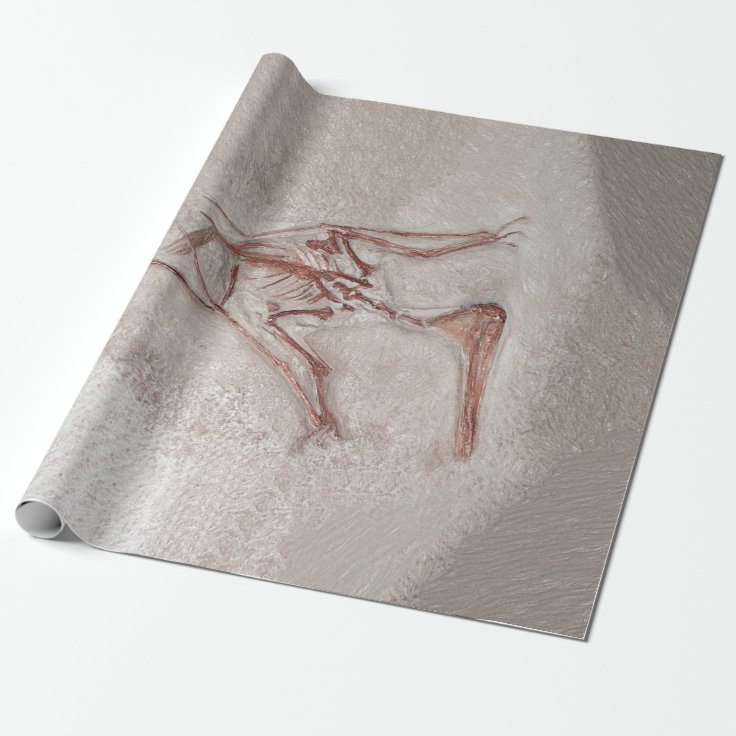 Dinosaur Bones Old Prehistoric Sketch Art Wrapping Paper | Zazzle