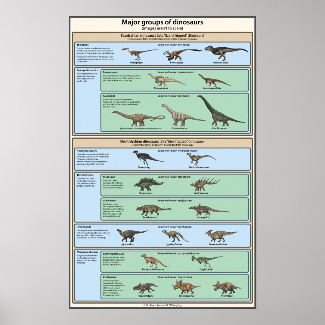 Dinosaur Classification Simplified Poster | Zazzle