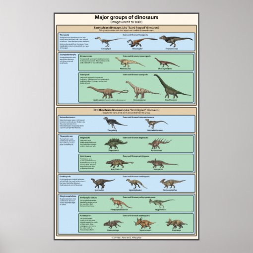 Dinosaur Classification Simplified Poster | Zazzle