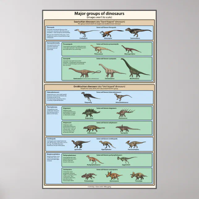 Dinosaur Classification Simplified Poster | Zazzle