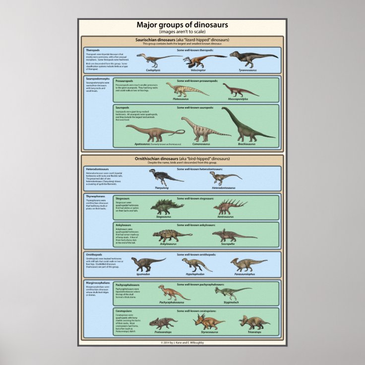 Dinosaur Classification Simplified Poster | Zazzle
