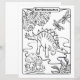 Dinosaur Coloring Page - Kentrosaurus | Zazzle