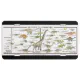 Dinosaur License Plate Gregory Paul paleoart | Zazzle