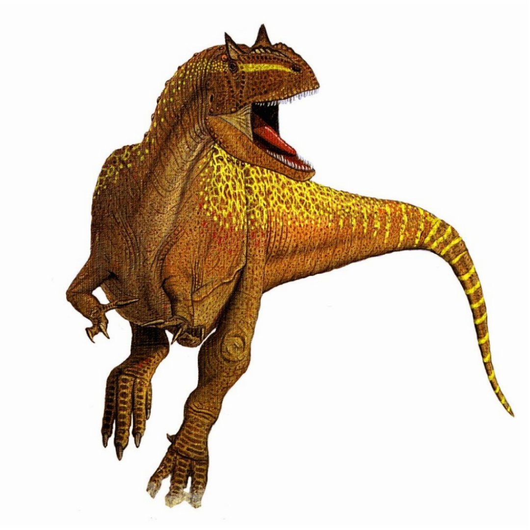 Dinosaur Photo Sculpture Allosaurus Gregory Paul | Zazzle