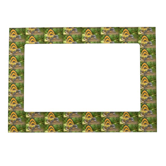Dinosaur Picture Frame | Zazzle.com