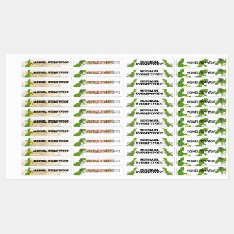 Dinosaur t-rex summer fun identification stickers | Zazzle