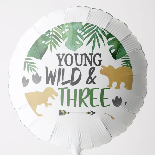 Dinosaur Third Birthday Balloon | Zazzle