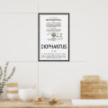 Diophantus Poster | Zazzle