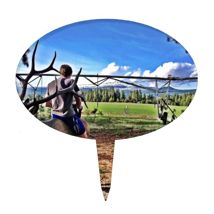 disc golf cake topper | Zazzle.com