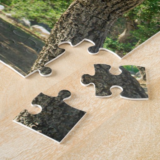 Disc Golf Course Nature Puzzle | Zazzle