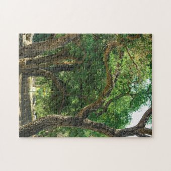 Disc Golf Course Nature Puzzle | Zazzle
