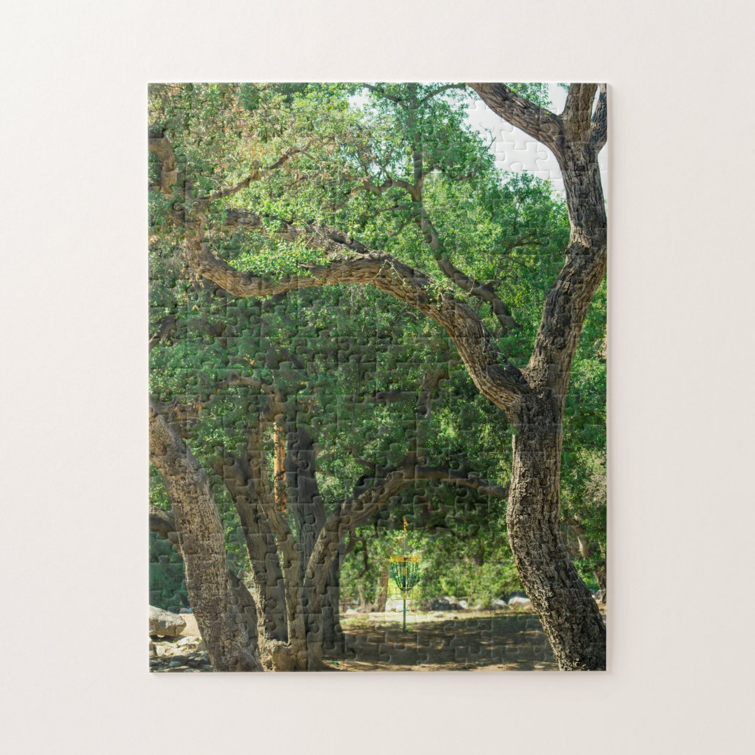 Disc Golf Course Nature Puzzle | Zazzle