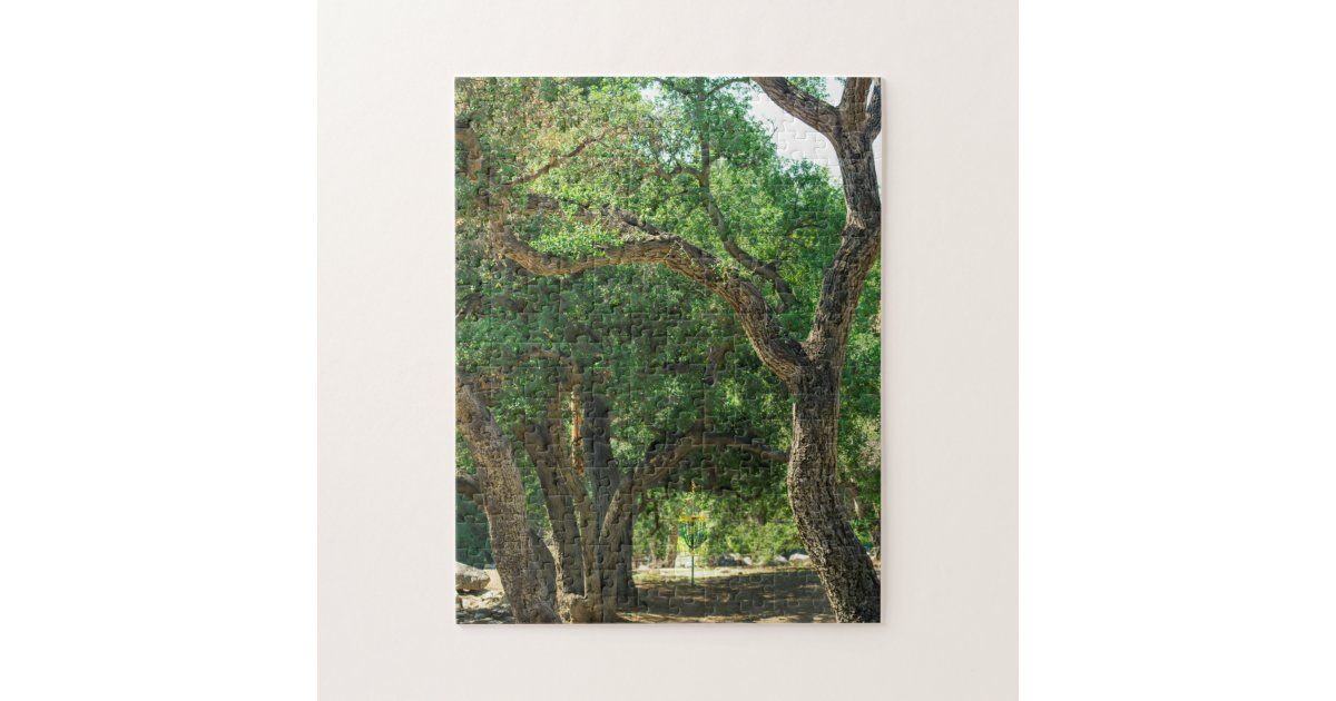 Disc Golf Course Nature Puzzle | Zazzle