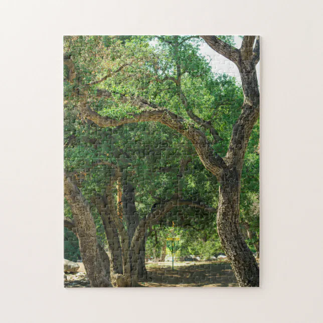 Disc Golf Course Nature Puzzle | Zazzle