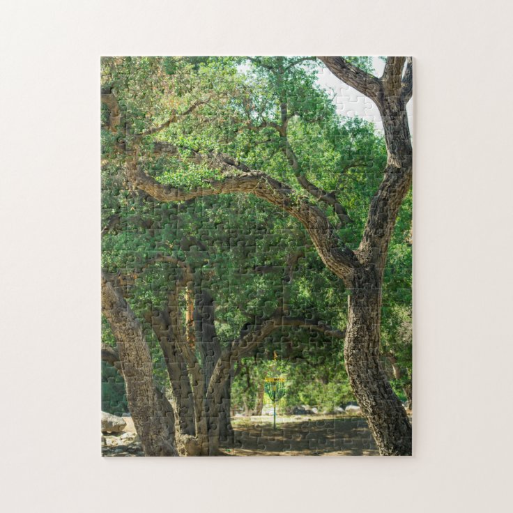 Disc Golf Course Nature Puzzle | Zazzle