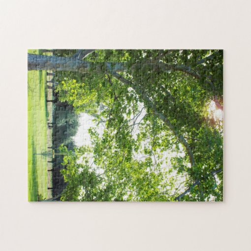 Disc Golf Puzzle | Zazzle