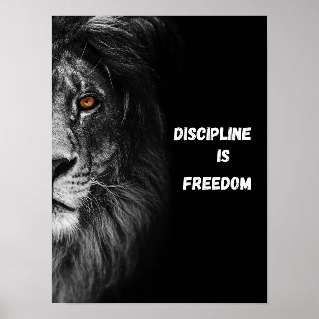 Discipline Is Freedom Ultra Close Up Lion Head Poster | Zazzle