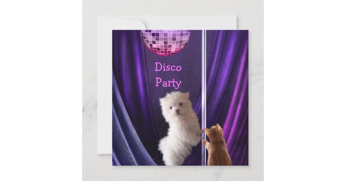 Disco Party Dog Cat Maltese Bachelorette Invitation | Zazzle