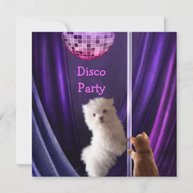 Disco Party Dog Cat Maltese Bachelorette Invitation | Zazzle