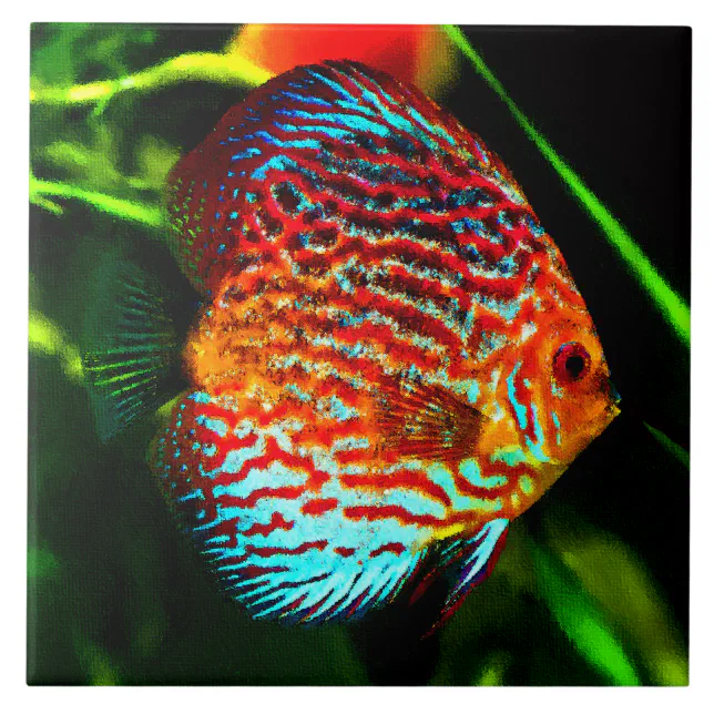 Discus aquarium fish decorative tile | Zazzle