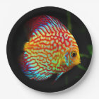 Discus aquarium fish dinner paper plate | Zazzle