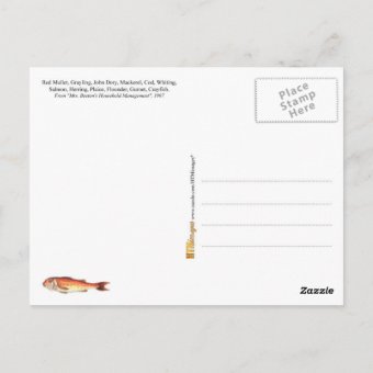 Display of different types of fish postcard | Zazzle