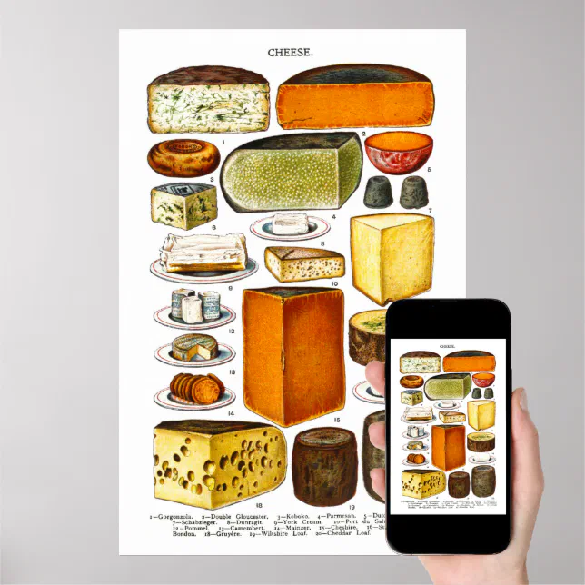 Display of Types of Cheese Poster | Zazzle