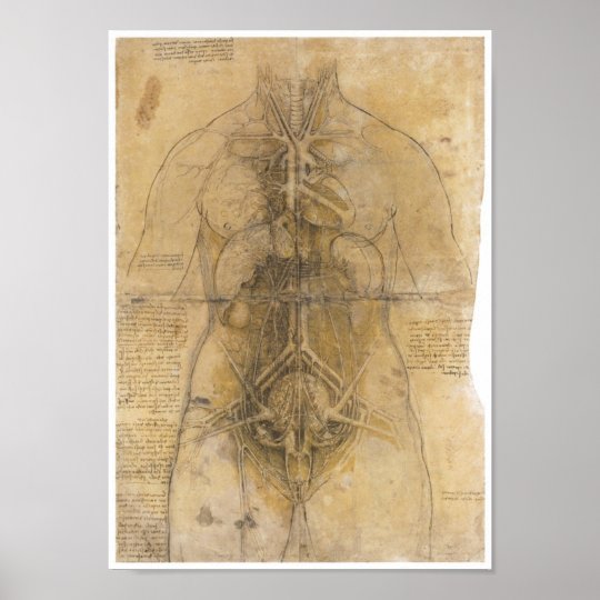 Dissection of the organs of a woman, Da Vinci Poster | Zazzle.com
