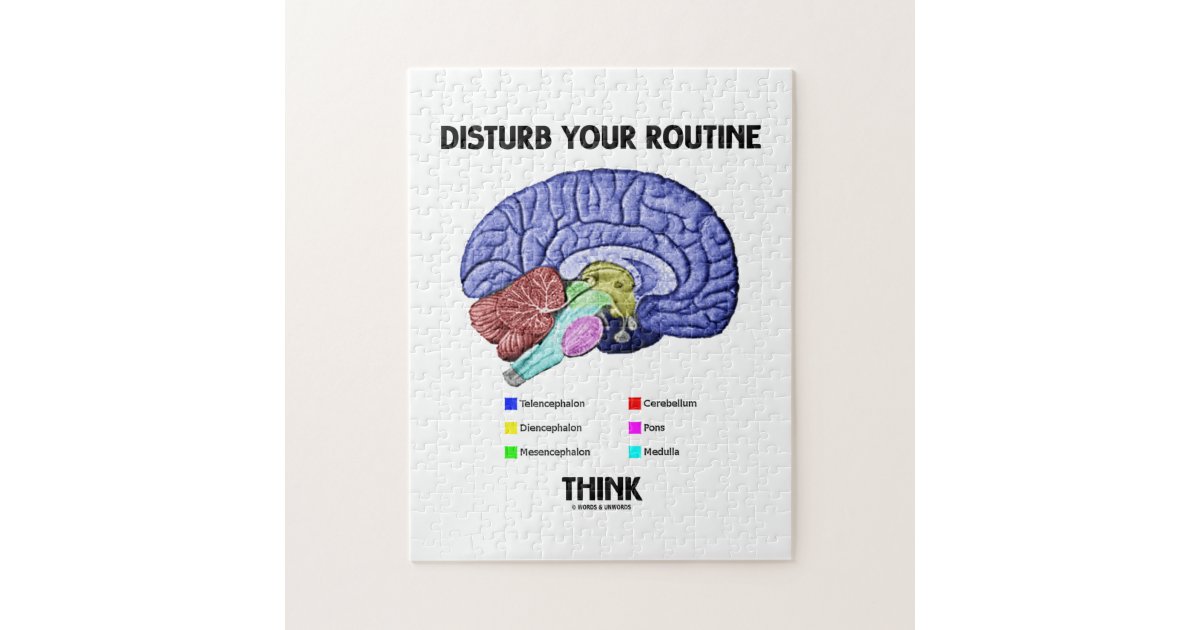 Disturb Your Routine Think (Brain Anatomy) Jigsaw Puzzle | Zazzle
