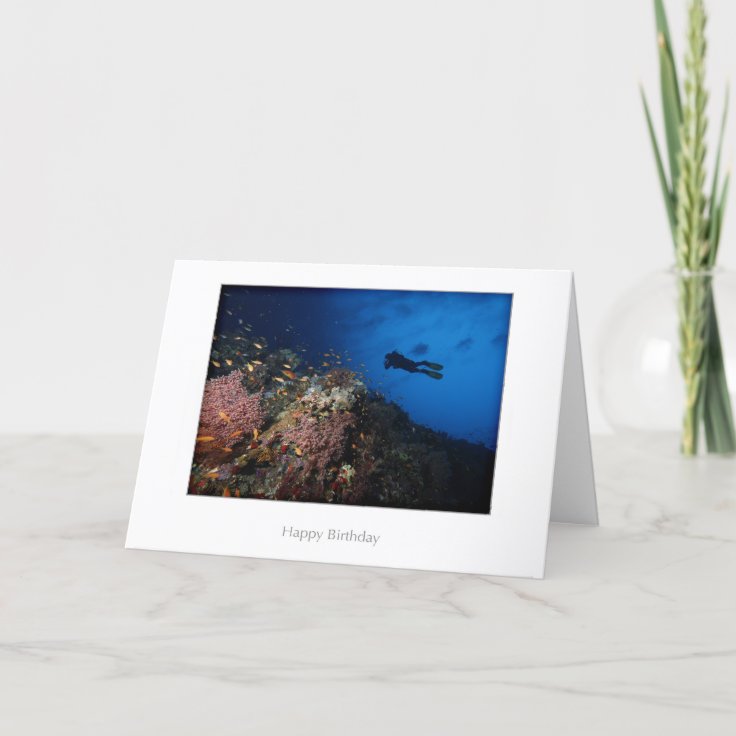 Diver on a Reef Birthday Card | Zazzle